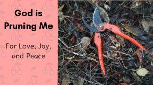 Are you Trying to Control the Uncontrollable?