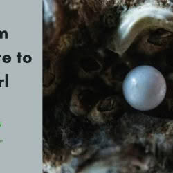 Every Saint Has a Past Every Sinner Has a Future